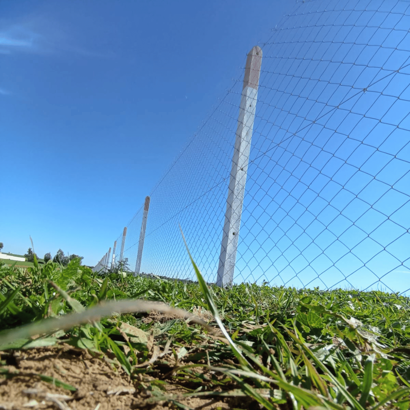 grillage métallique : Tout ce que vous devez savoir